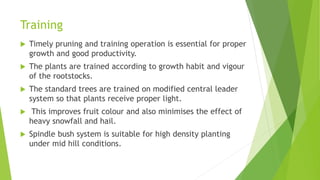 Apple cultivation | PPTX