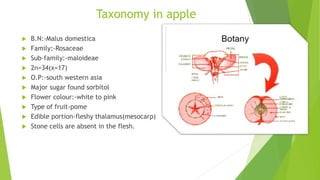 Apple cultivation | PPTX