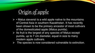 APPLE industrial crops.pptx