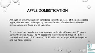 Apple genome | PPTX