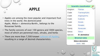 Apple genome | PPTX