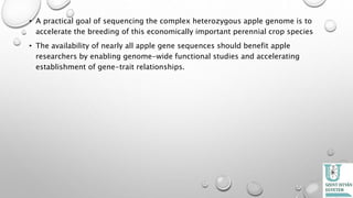 Apple genome | PPTX