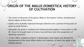 Apple genome | PPTX