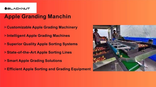 Apple Grading Machine Manufacturer in India.pptx