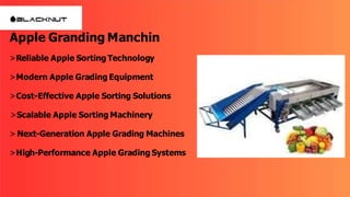 Apple Grading Machine Manufacturer in India.pptx