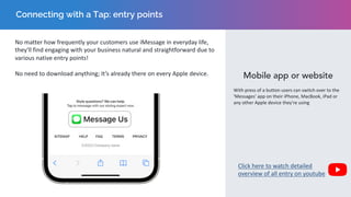 Apple Messages for Business with BrandyIM.pdf