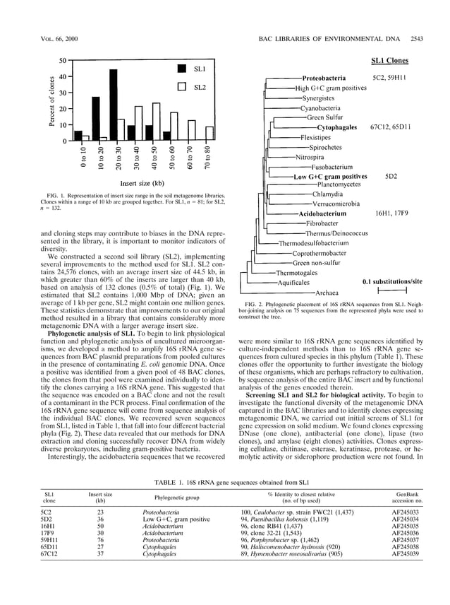 Cloning the Soil Metagenome | PDF | Biological Sciences | Science