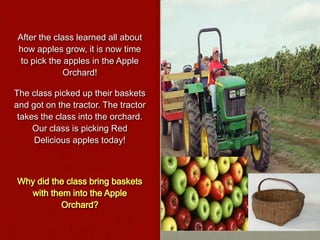 Apple orchard | PPTX