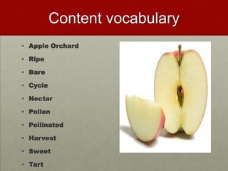 Apple orchard | PPTX