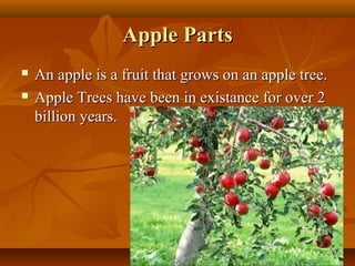 Apple parts | PPT