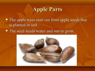 Apple parts | PPT