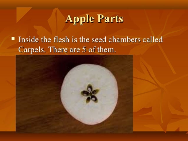 Apple parts