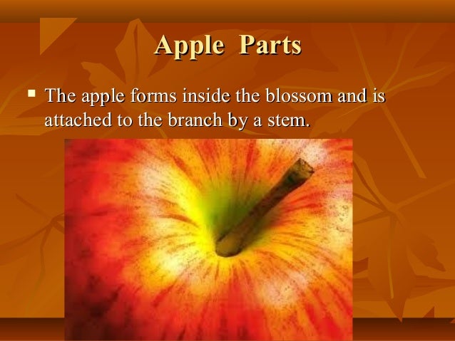 Apple parts