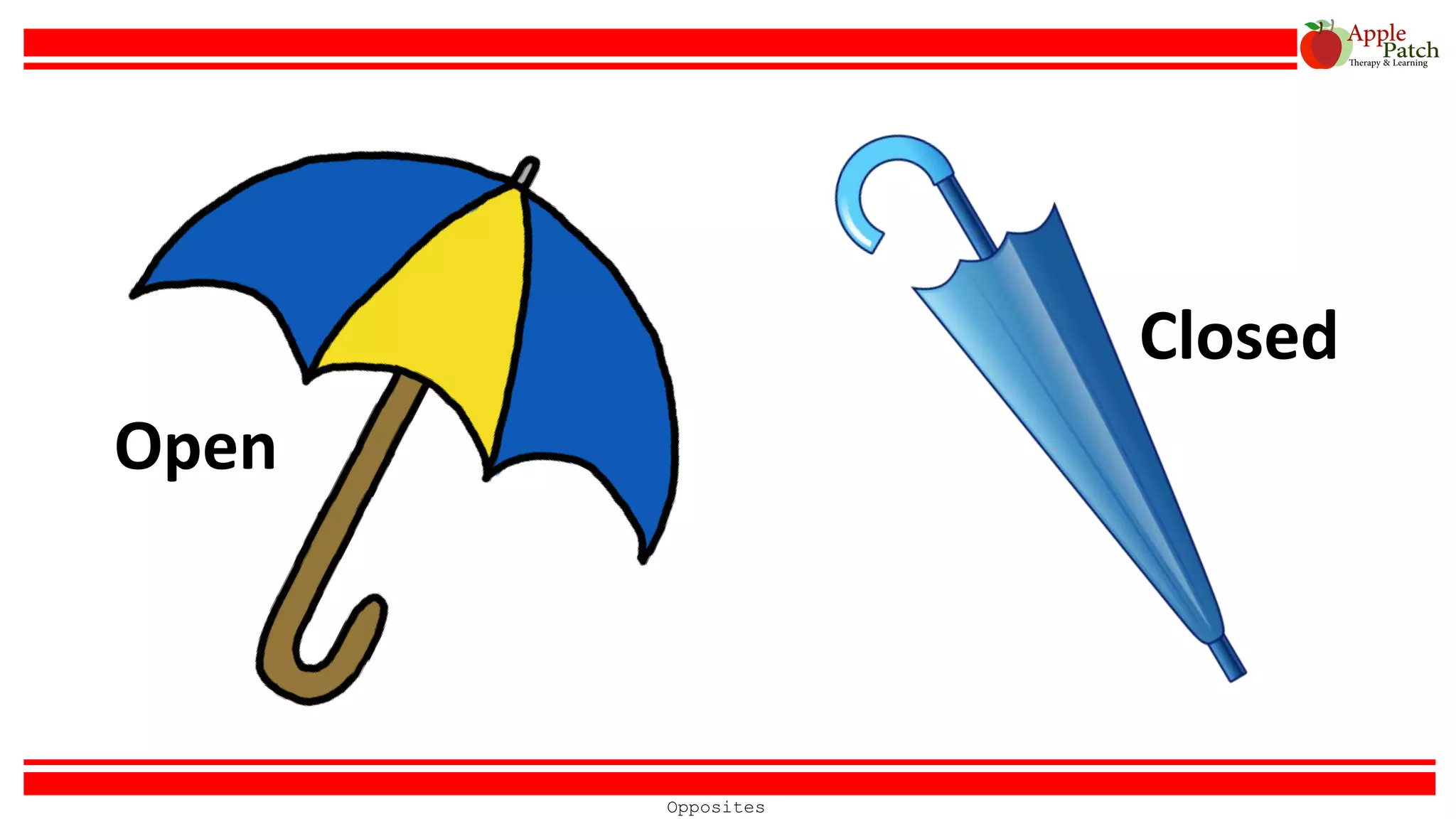 The Basics: Opposites | PDF