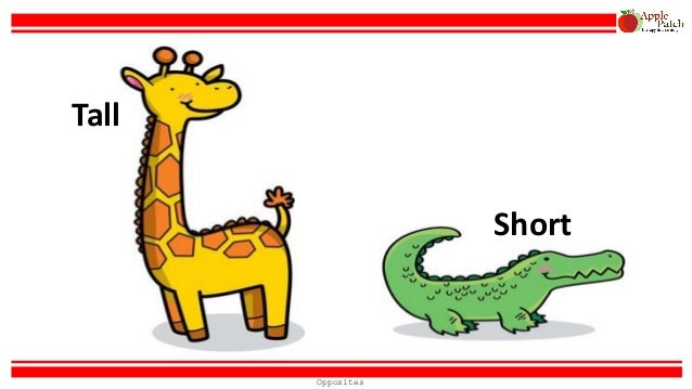 The Basics: Opposites