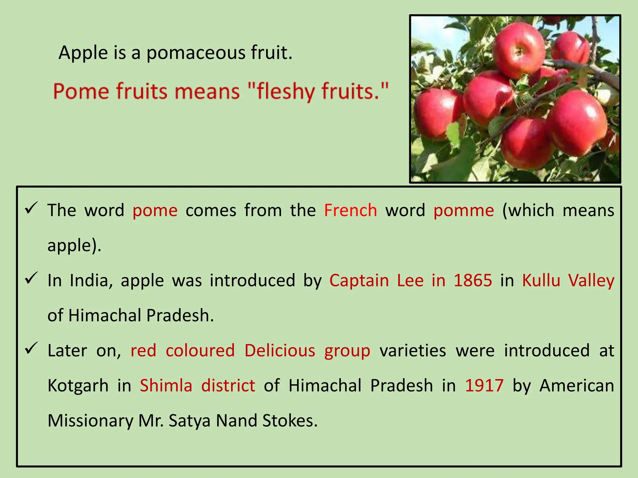 Temperate fruit crop production technology of Apple | PPTX