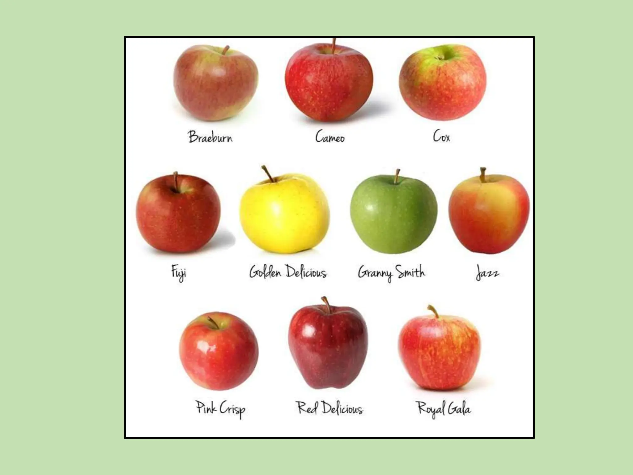 Temperate fruit crop production technology of Apple | PPTX