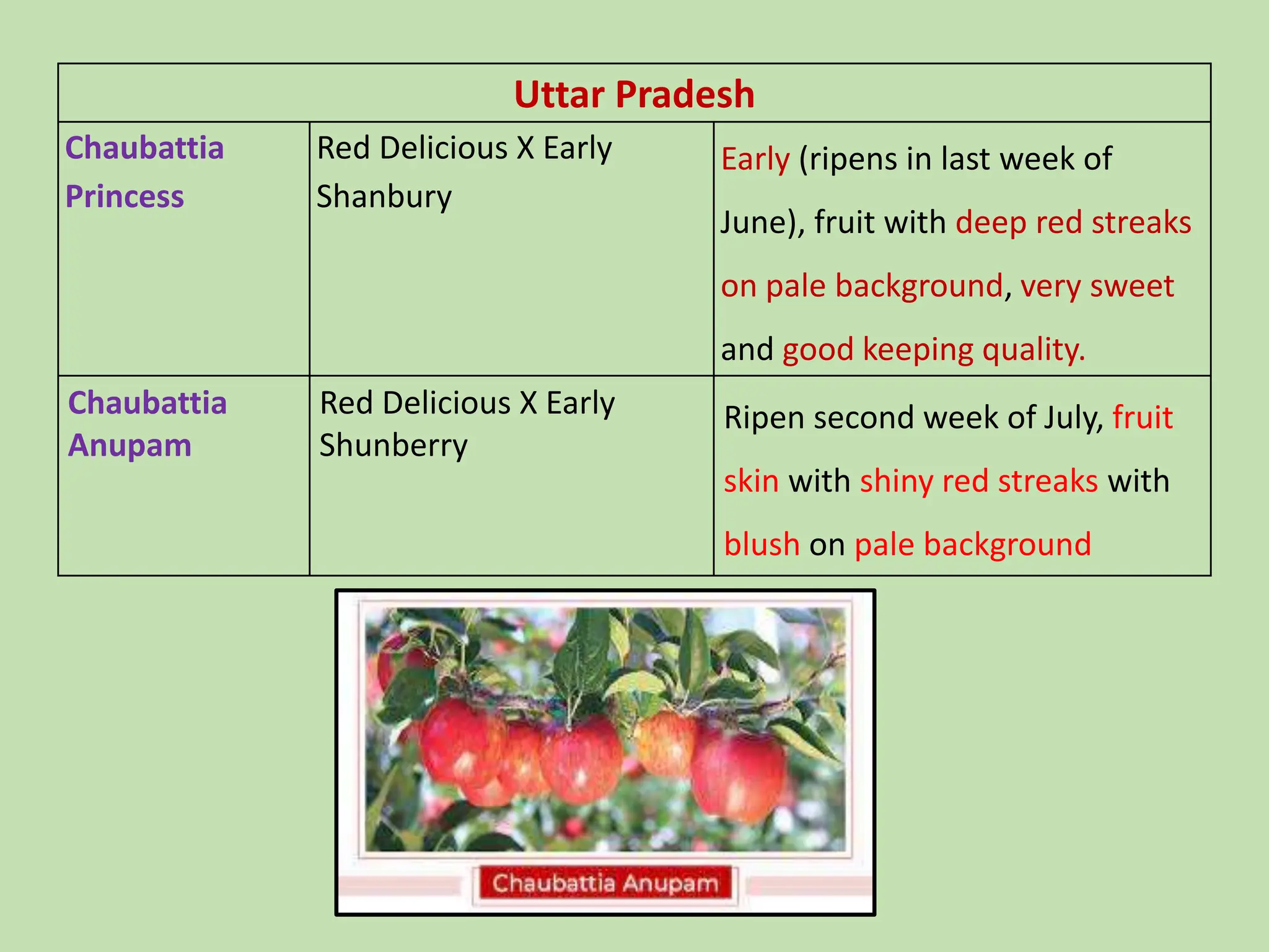 Temperate fruit crop production technology of Apple | PPTX