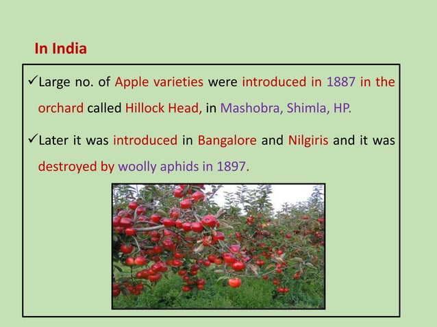 Temperate fruit crop production technology of Apple | PPTX