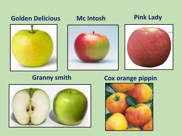 Temperate fruit crop production technology of Apple | PPTX
