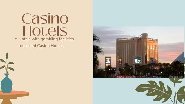 types of hotel room and hotel codes .pdf | Hotels and Motels | Travel Type