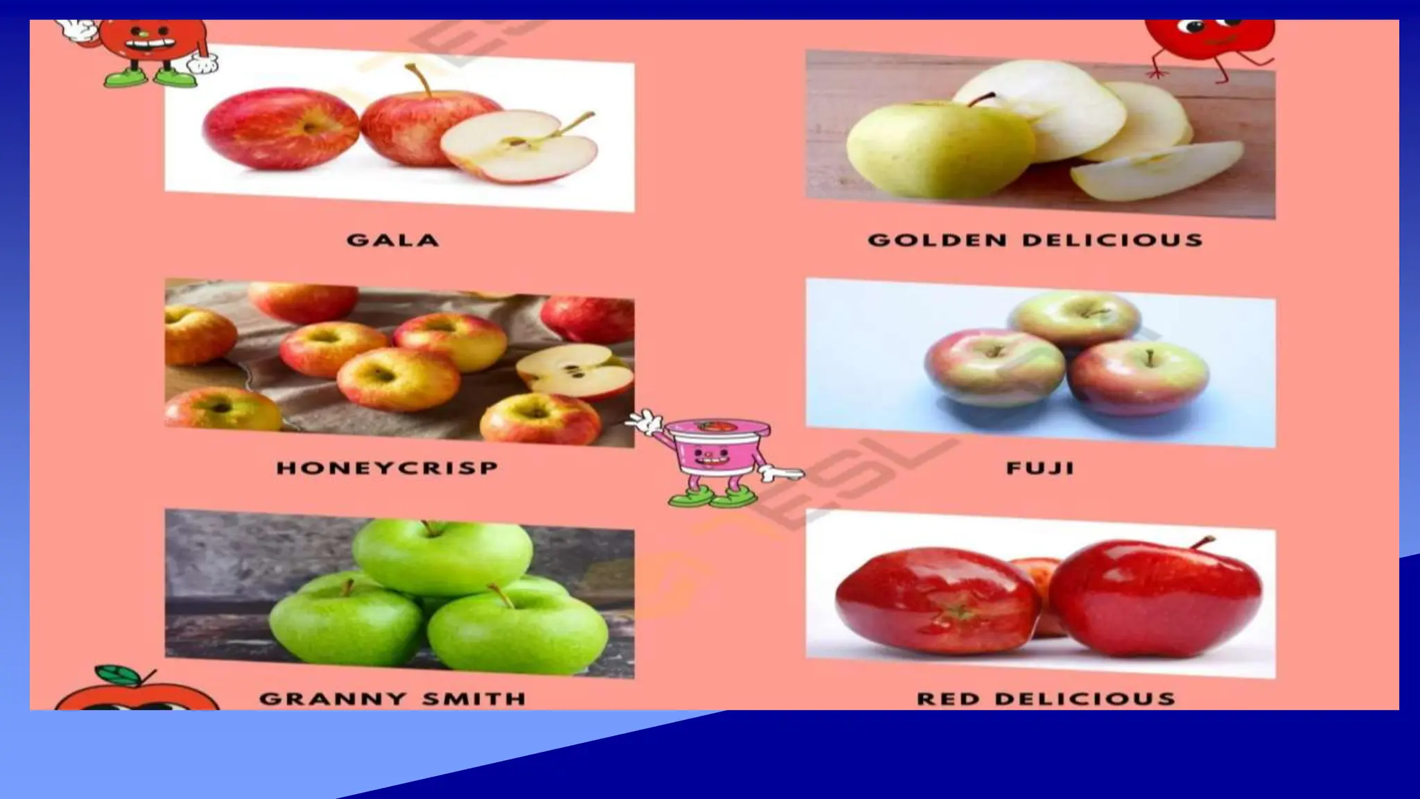 APPLE PPT.pptx