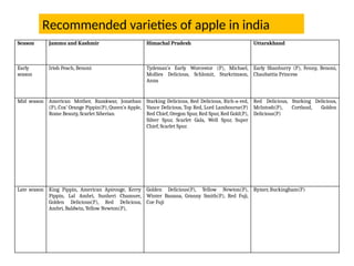Production technology of Apple.......ppt