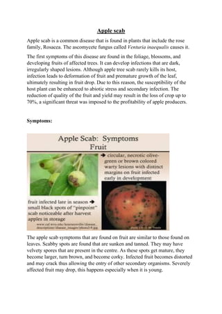 apple scab.pdfpple scab is the most common disease of apple | PDF