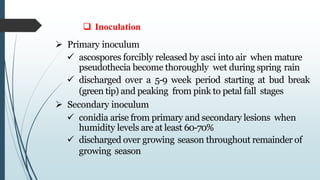 Apple scab disease | PPTX