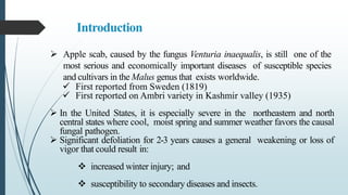 Apple scab disease | PPTX