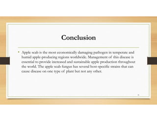 apple scab disease by Sarah Ashfaq 51 pdf | PPT