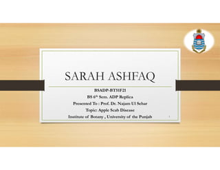 apple scab disease by Sarah Ashfaq 51 pdf | PPT