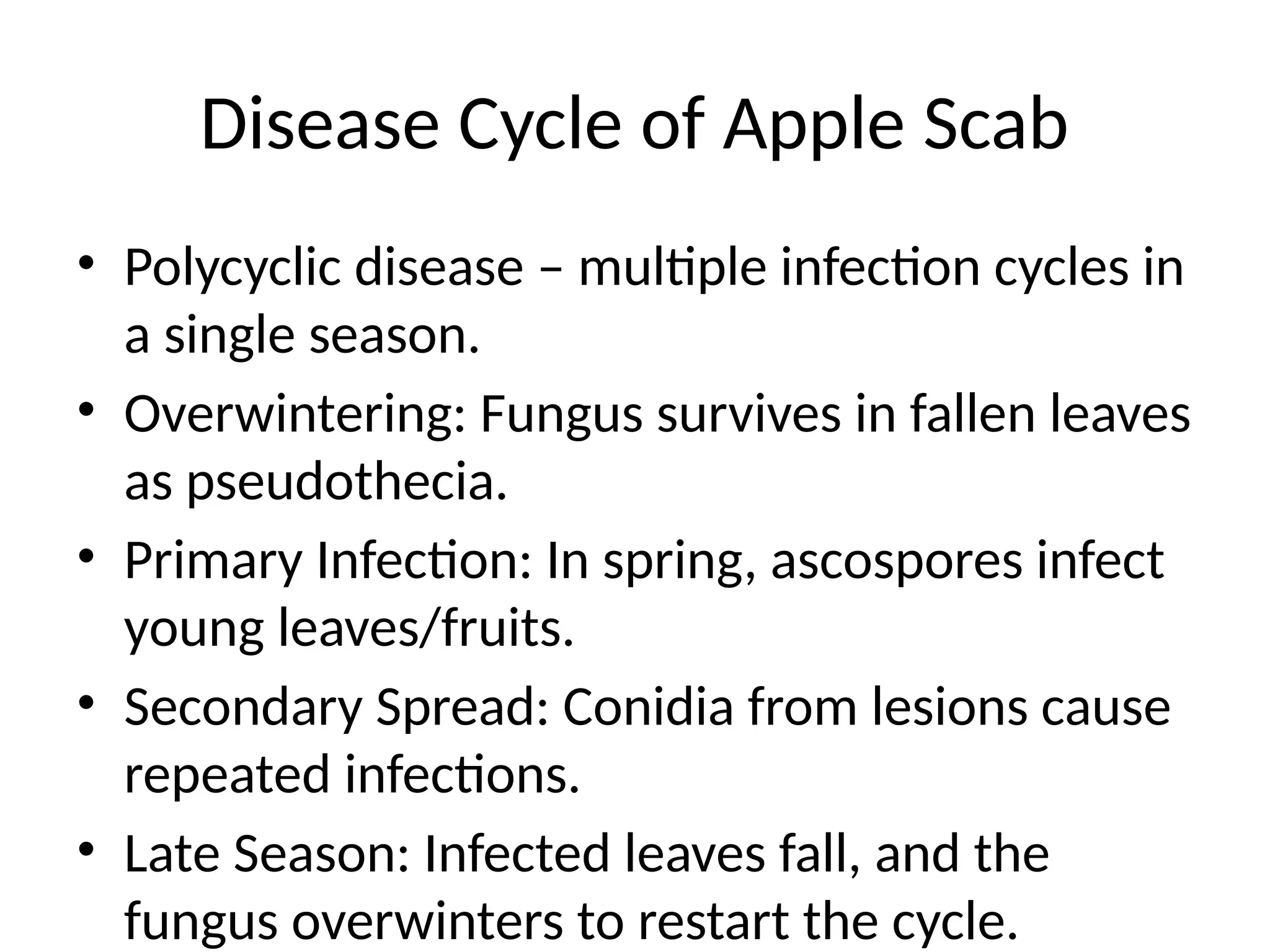 Apple_Scab_Presentation_By_Sadaf_Nazir.pptx