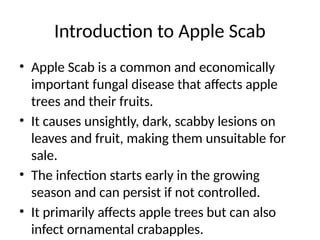 Apple_Scab_Presentation_By_Sadaf_Nazir.pptx
