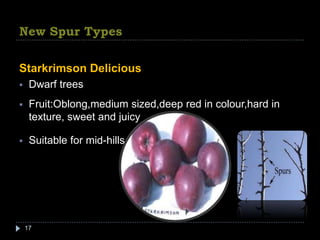 Apple varieties | PPTX