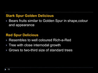 Apple varieties | PPTX