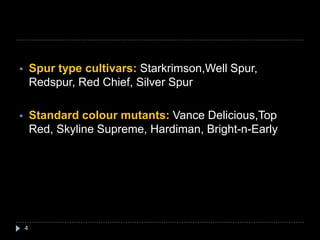 Apple varieties | PPTX