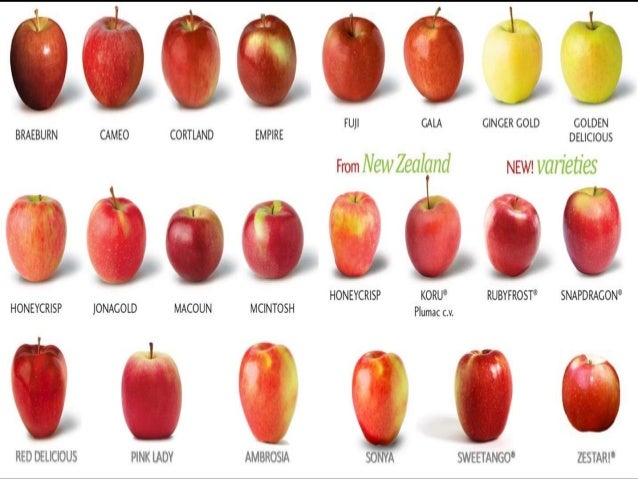 Apple varieties