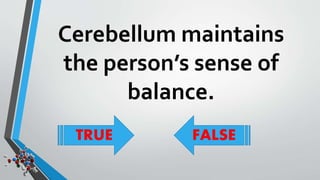 Activity about parts of brain | PPT