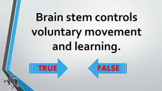 Activity about parts of brain | PPT