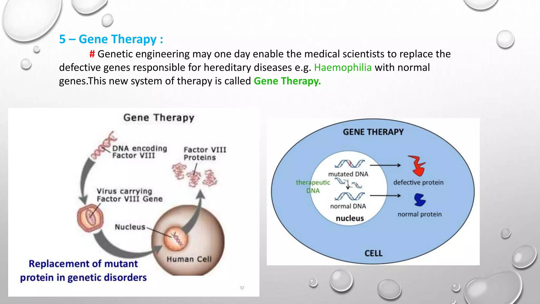 Application Of Recombinant DNA Technology | PPTX