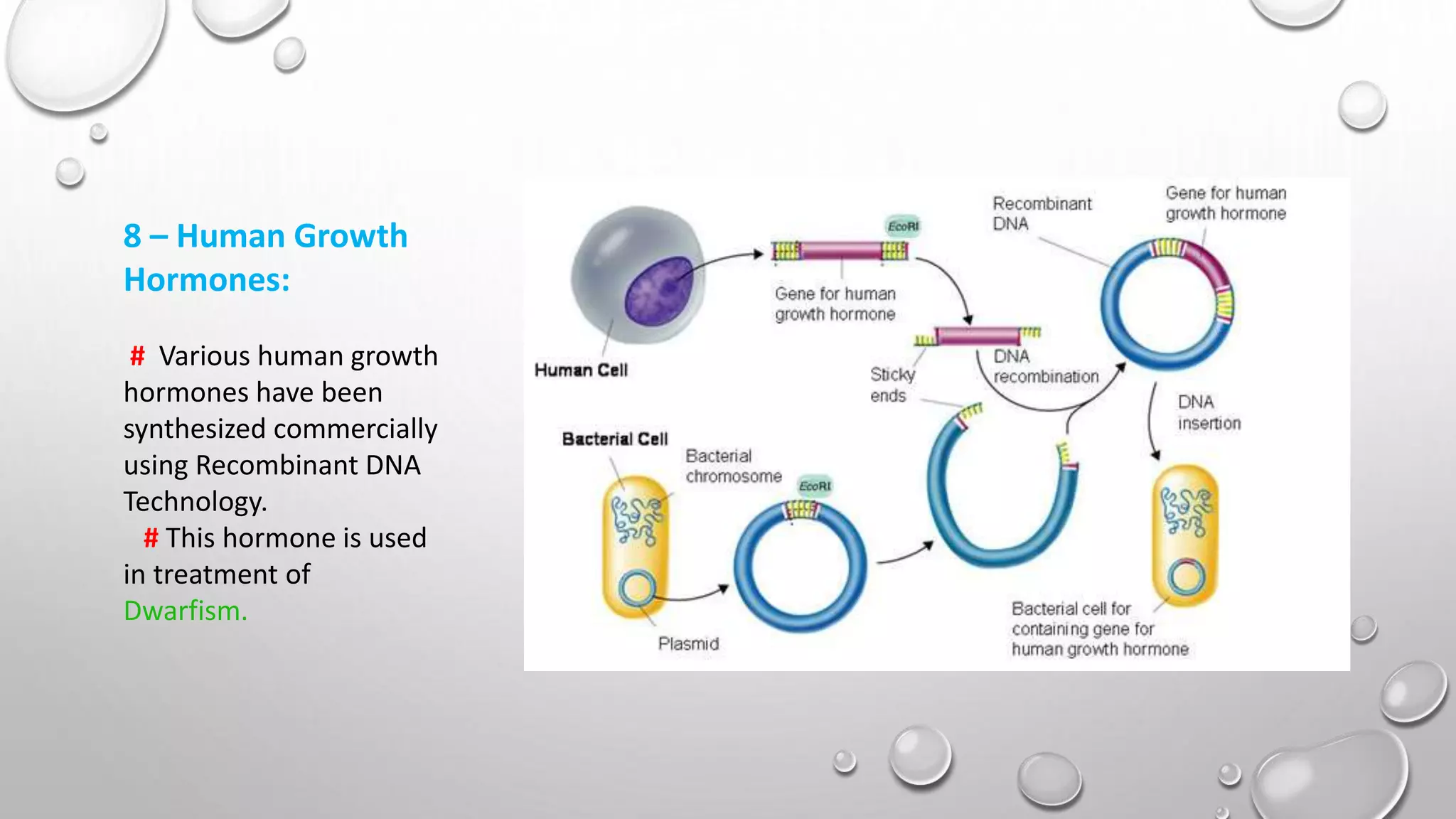 Application Of Recombinant DNA Technology | PPTX