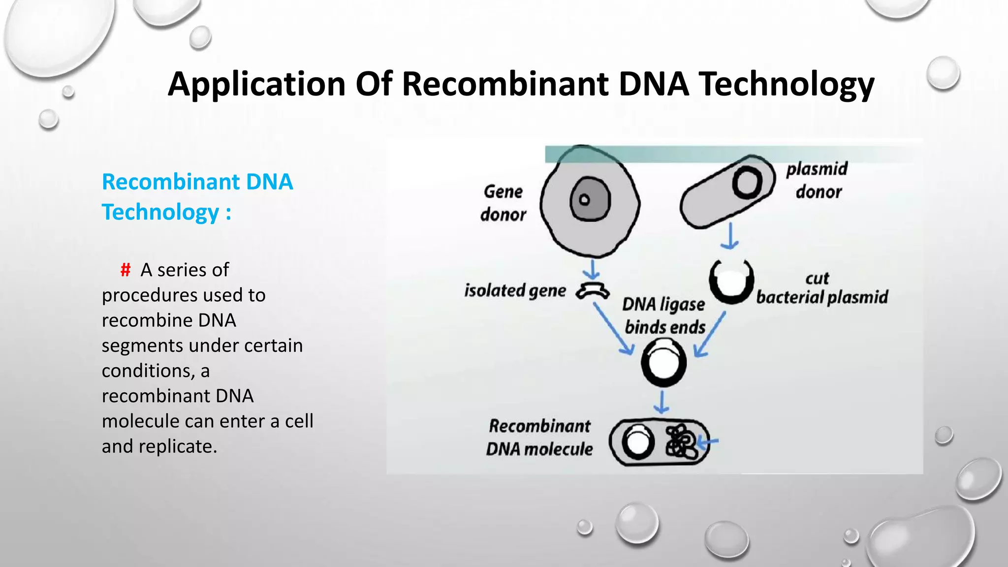 Application Of Recombinant DNA Technology | PPTX