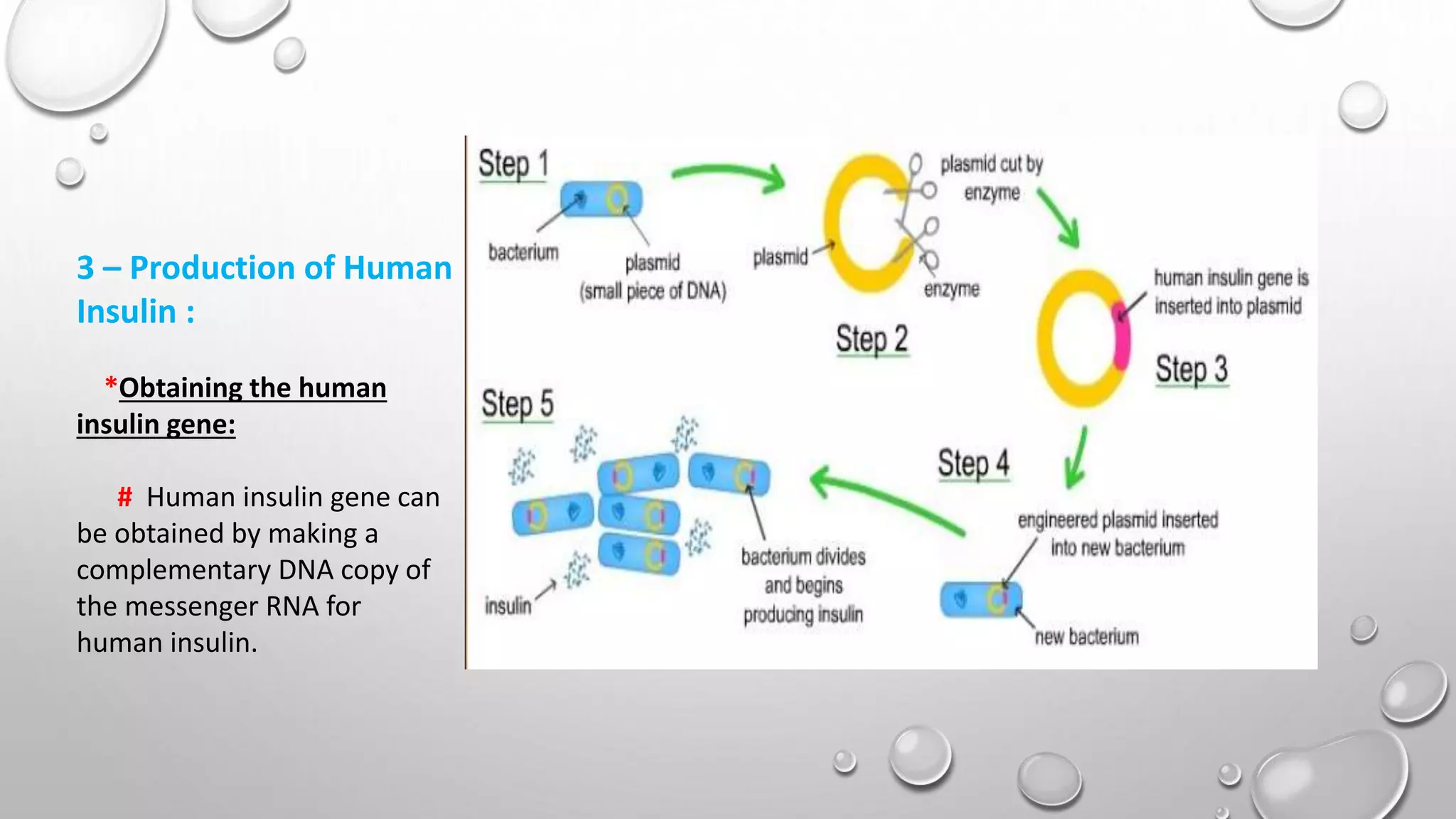 Application Of Recombinant DNA Technology | PPTX