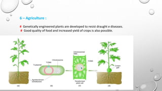 Application Of Recombinant DNA Technology | PPTX