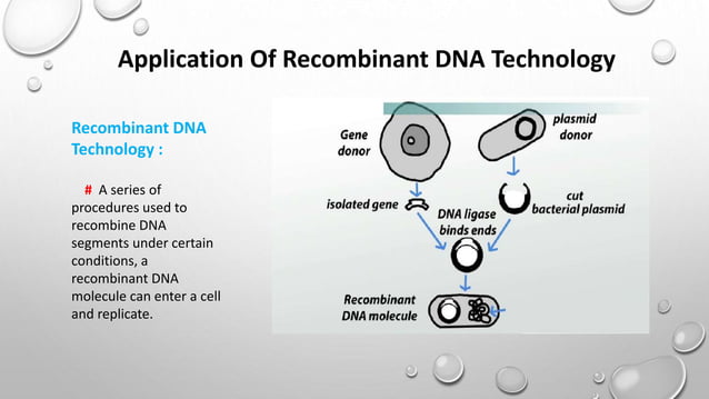 Application Of Recombinant DNA Technology | PPTX | Biotech and ...