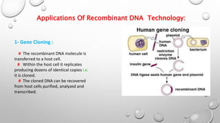 Application Of Recombinant DNA Technology | PPTX