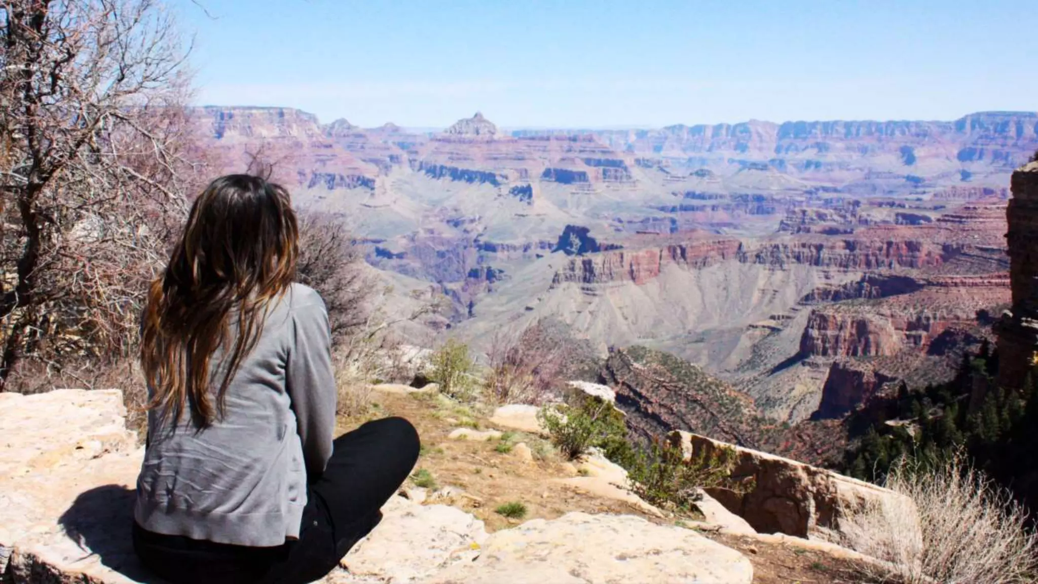 Application Lifecycle Management (ALM), by Marco Silva | PPTX