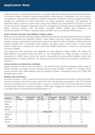 prostate cancer classification - BioGenex | PDF