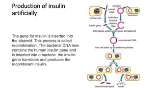 Application-of-genetic-engineering.pdf